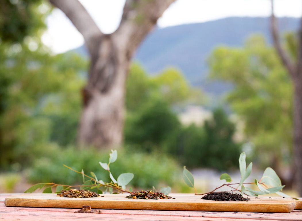 Binjang Tea - Indigenous Australian Native Teas & Native Ingredients